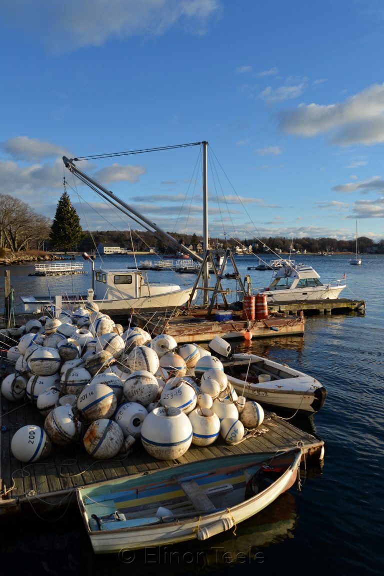 Buoys, Crane & Christmas Tree - Squam Creative Services