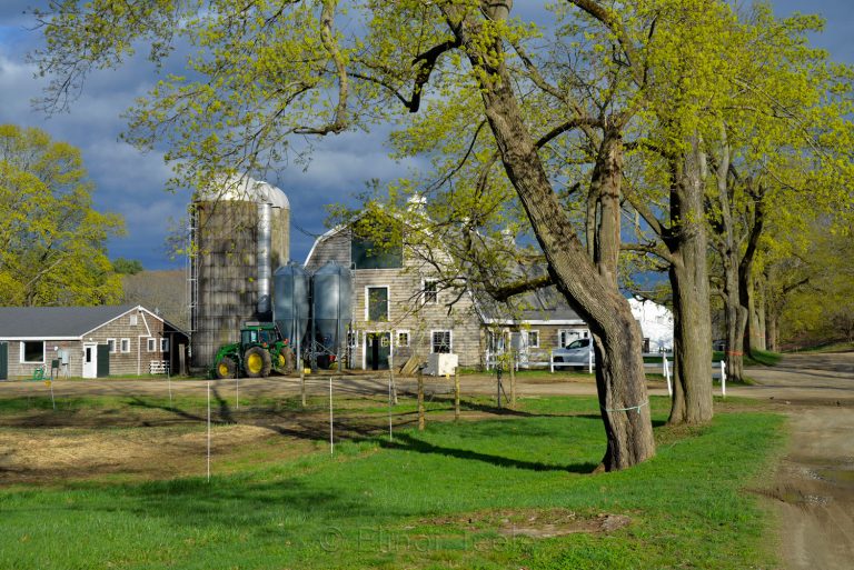Appleton Farms – Milking Barn - Squam Creative Services
