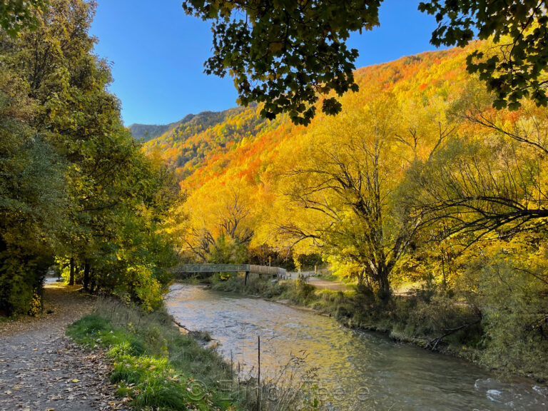 Arrowtown in Autumn – Tobins Track Bridge - Squam Creative Services
