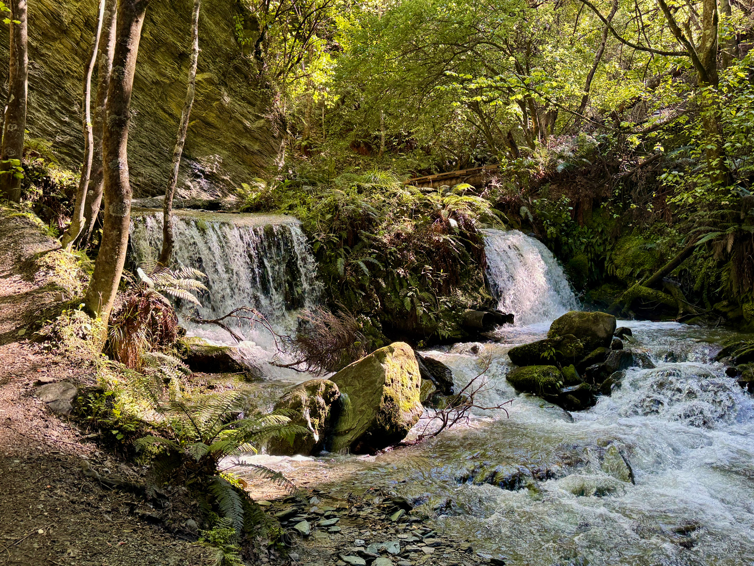 Bush Creek in Spring 2 - Squam Creative Services